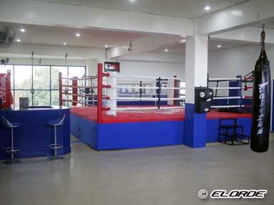 How to franchise ELORDE BOXING GYM | Franchise Market Philippines